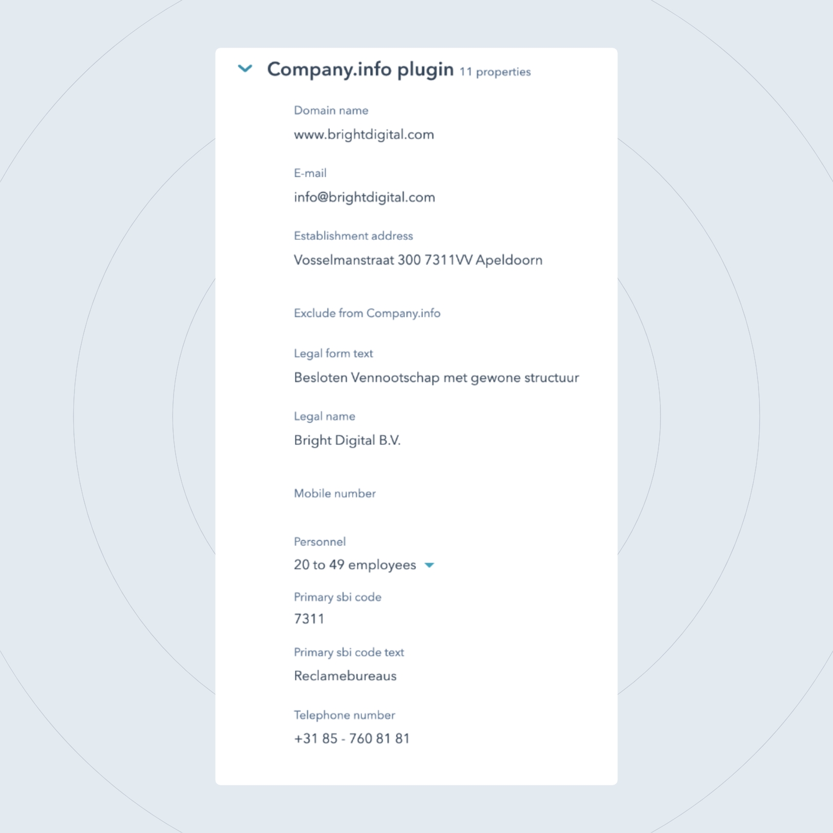 HubSpot Company.Info plugin for Basecone | Bright Digital